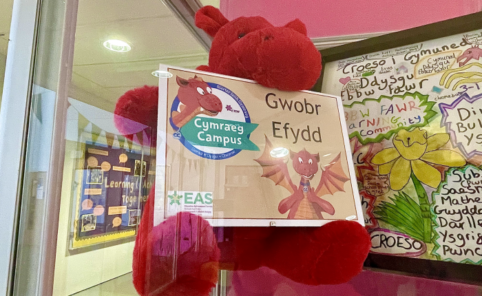 Primary Phase (3-11) – Ebbw Fawr Learning Community