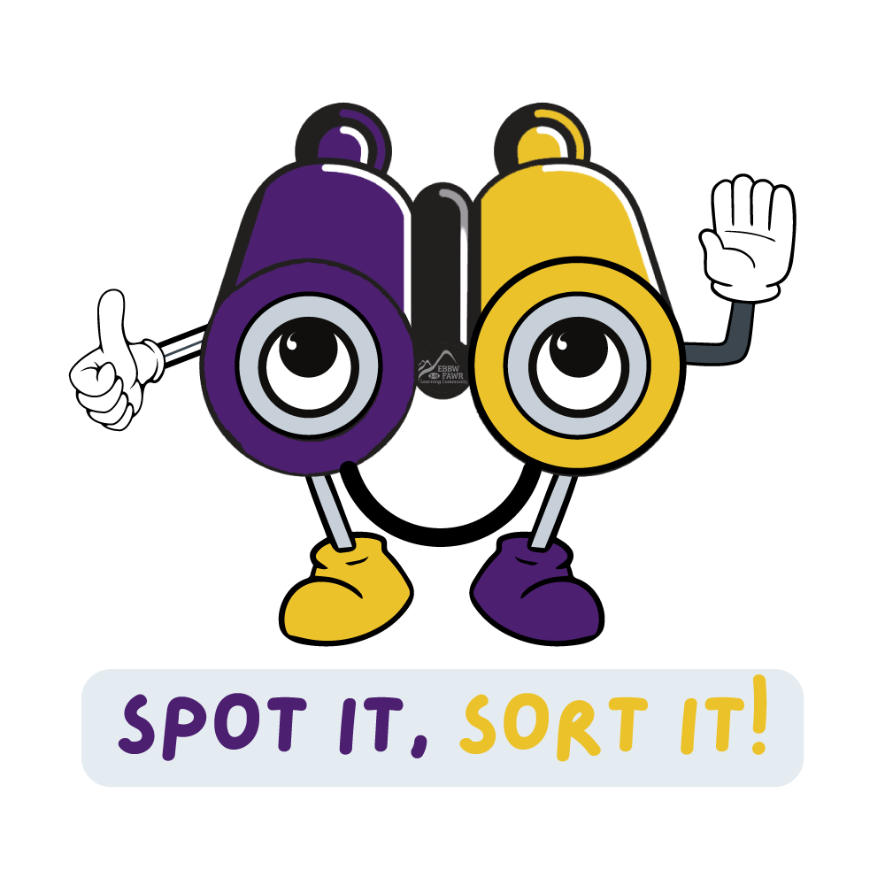 Spot It, Sort It! – Ebbw Fawr Learning Community