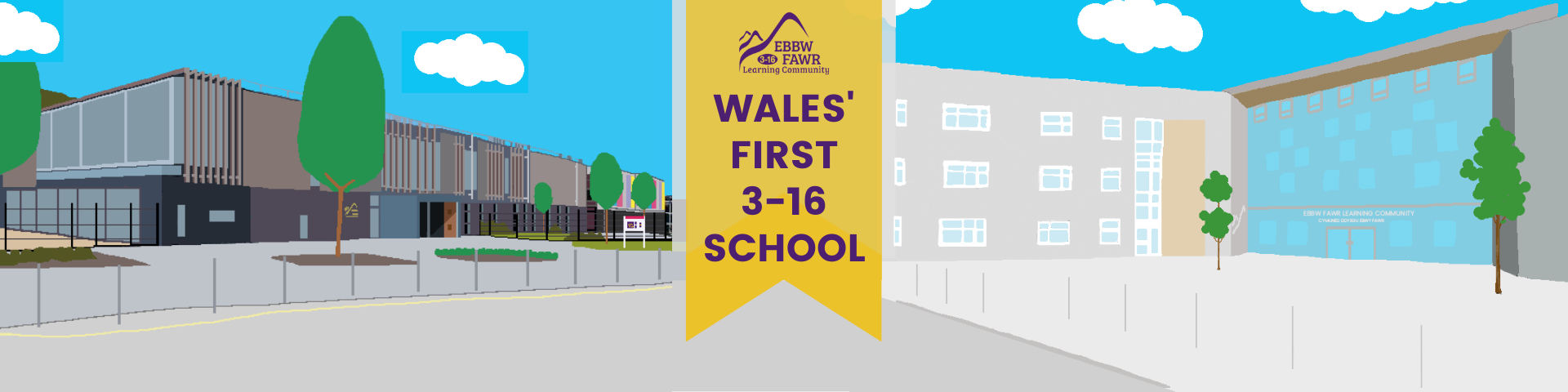 Primary Curriculum Overview – Ebbw Fawr Learning Community